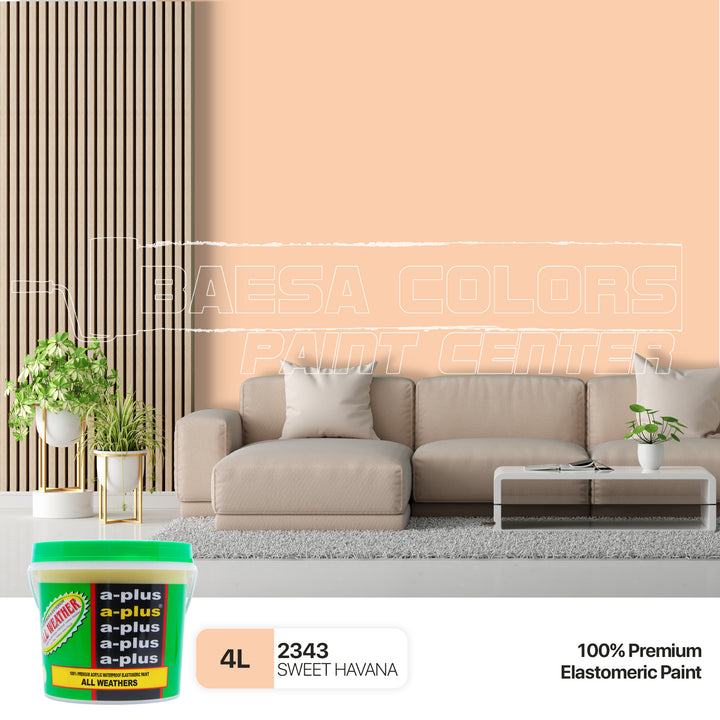 A-plus Paints – BAESA COLORS PAINT CENTER