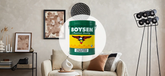 BOYSEN® Premium Acrylic Water-Based Paints – BAESA COLORS PAINT CENTER