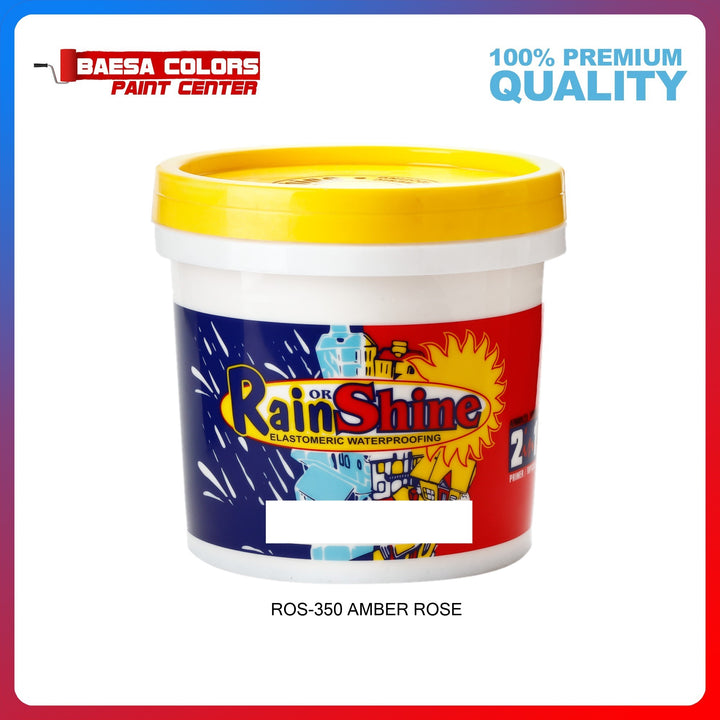 Rain or Shine Paint – Page 4 – BAESA COLORS PAINT CENTER
