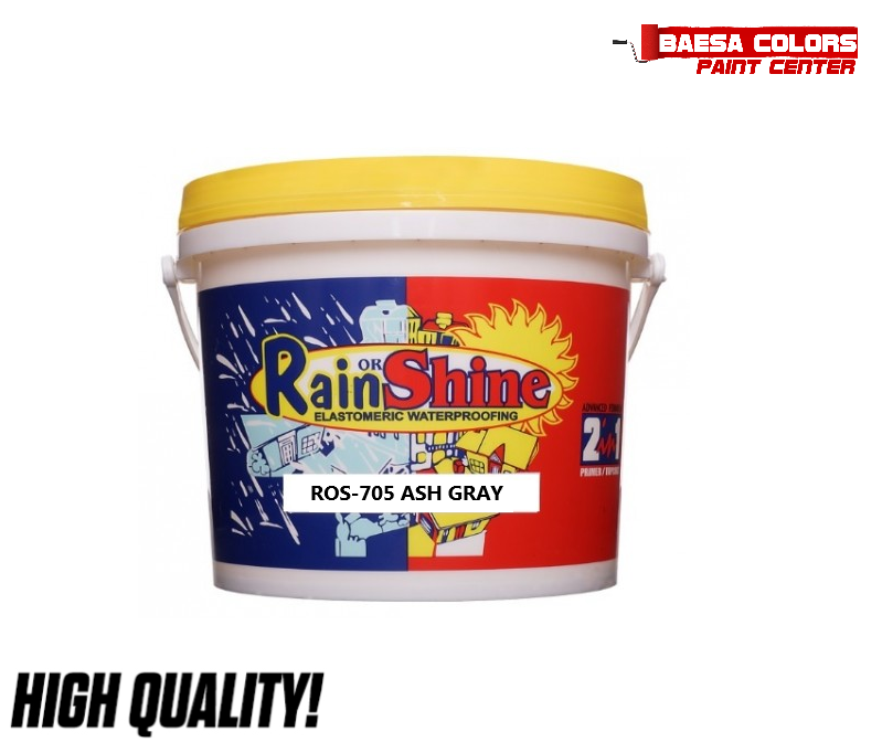 Rain or Shine 705 Ash Gray Elastomeric Paint – BAESA COLORS PAINT CENTER